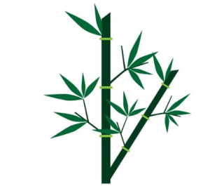 Klasifikasi dan Morfologi Tanaman Bambu – Ilmu Pengetahuan Dasar